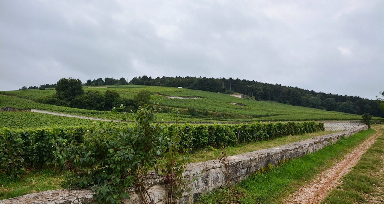 Cros Parantoux - the sweet spot of Richebourg