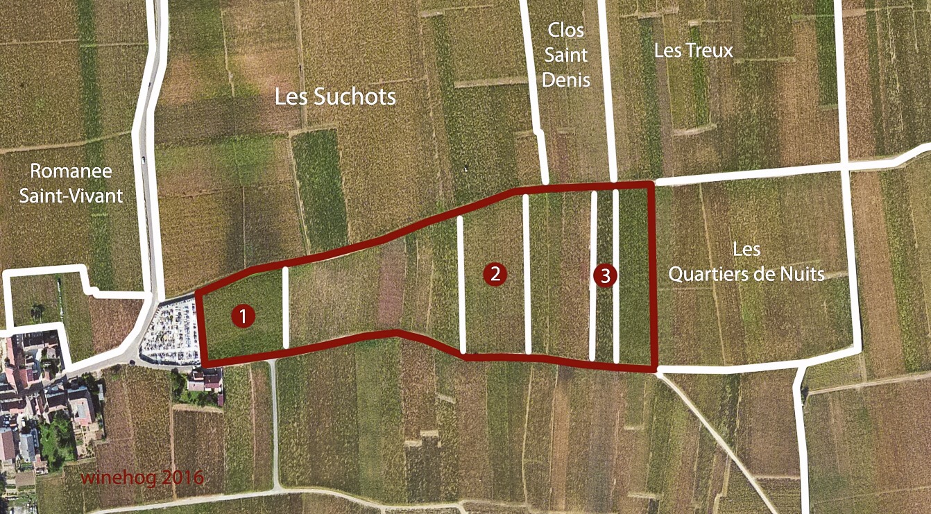 Vineyard Insight: Vosne-Romanee Les Hautes Maizieres