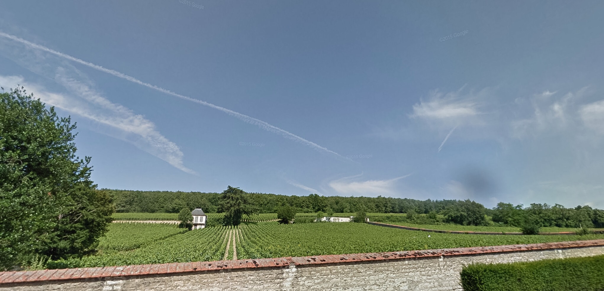Vineyard Insight: Clos St. Marc a small and forgotten monopole