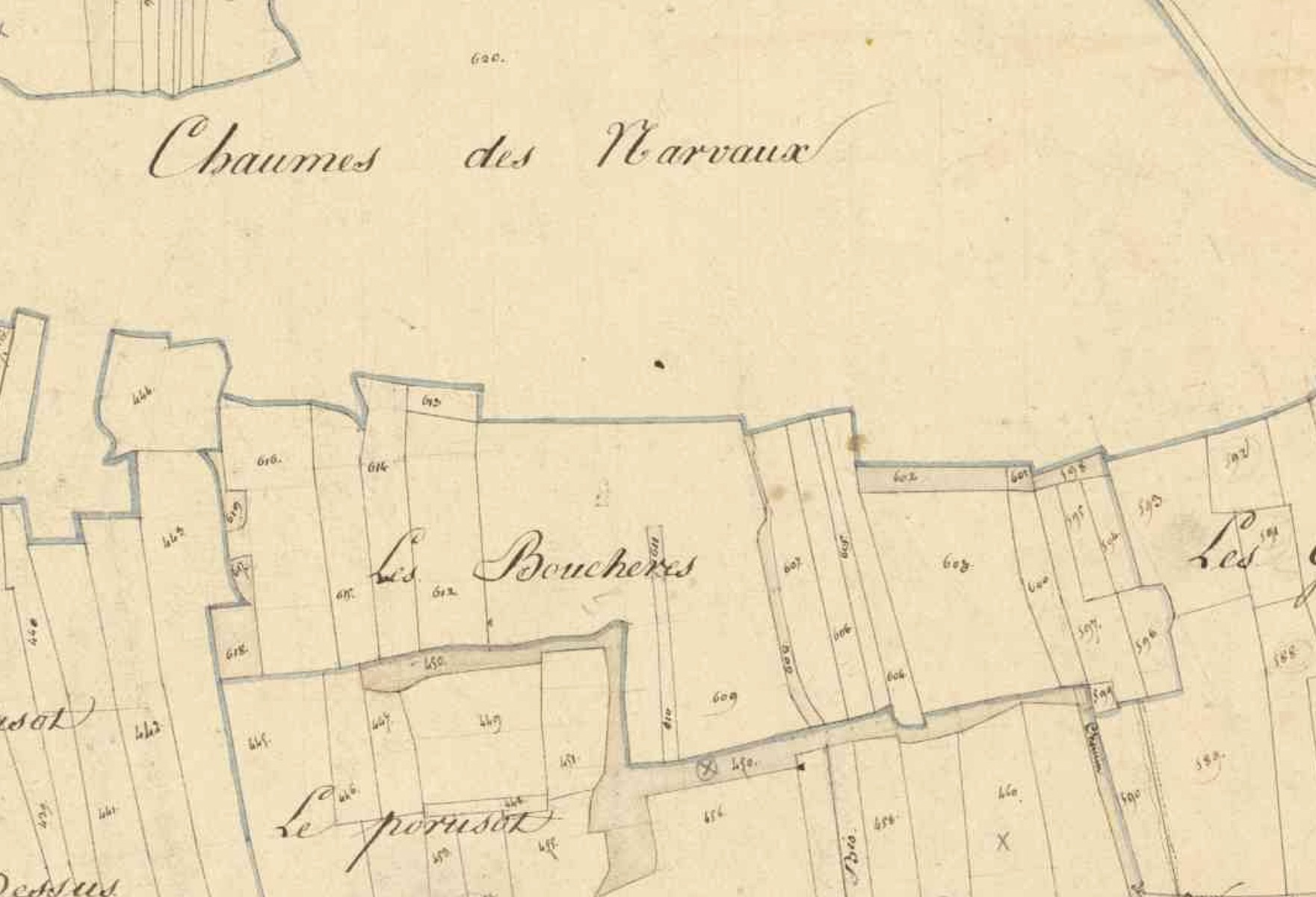 Terroir Insight: Domaine Roulot Meursault Clos des Bouchères