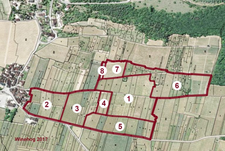 Terroir Insight: Domaine Ponsot Clos de la Roche