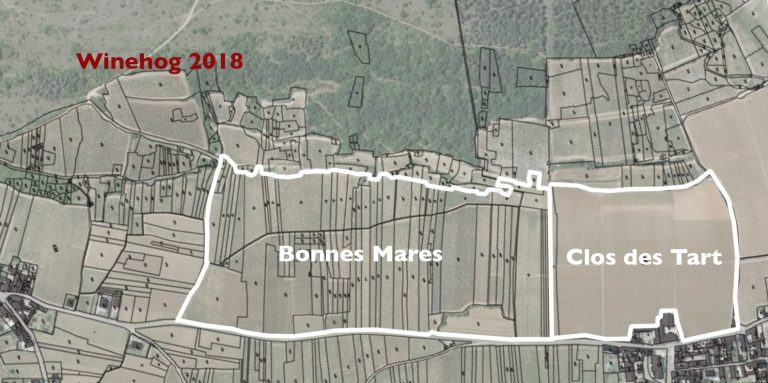 Terroir Insight: Domaine Georges Roumier, Bonnes Mares