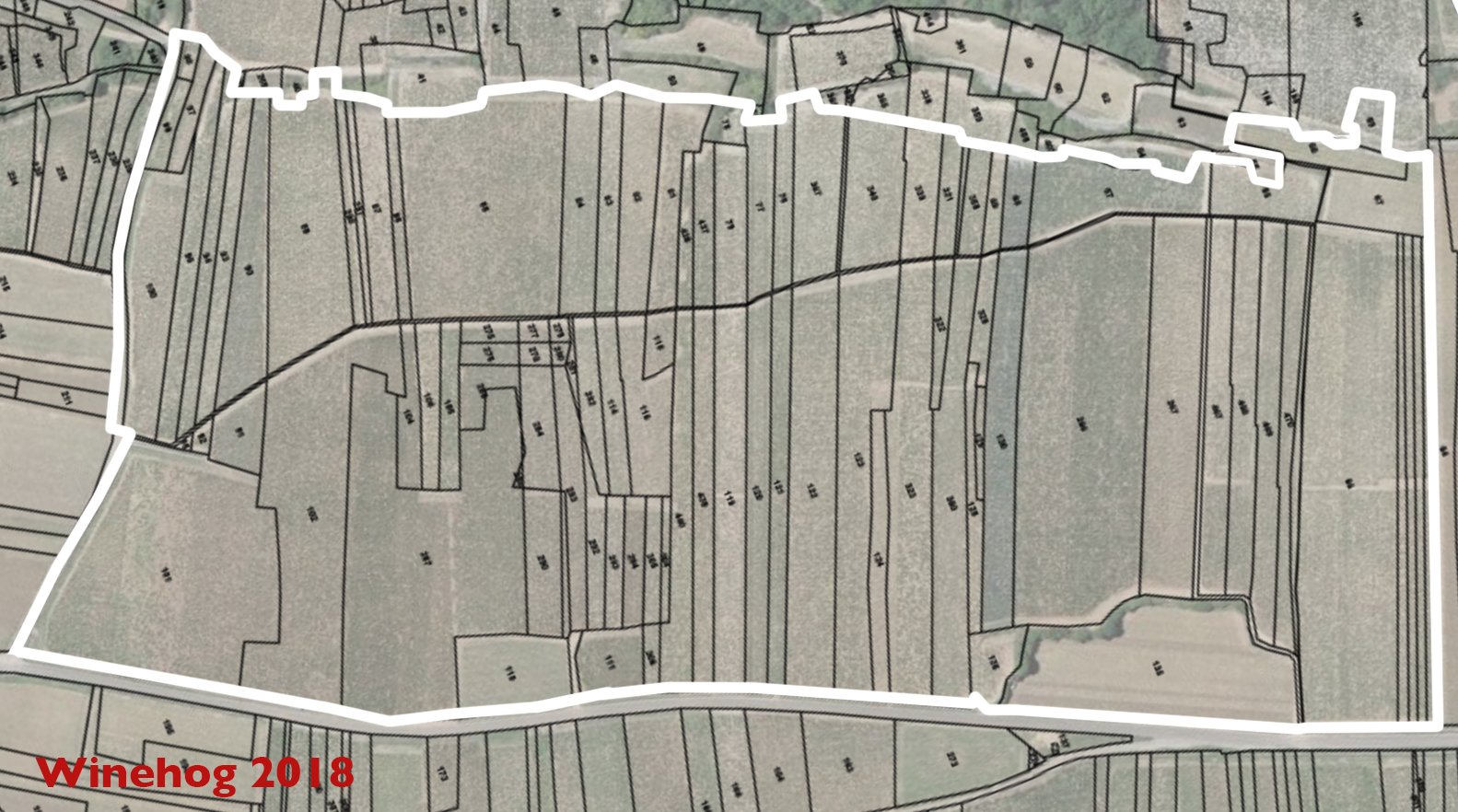 Terroir Insight: Domaine Bertheau, Bonnes Mares