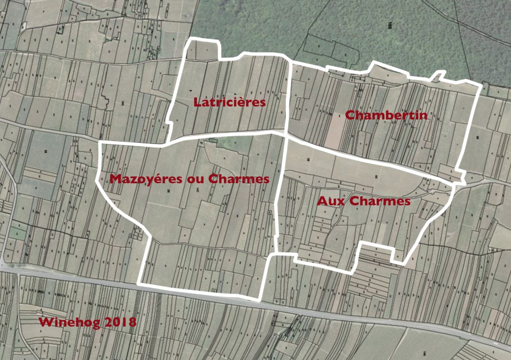 Terroir Insight: Domaine Armand Rousseau, Charmes-Chambertin