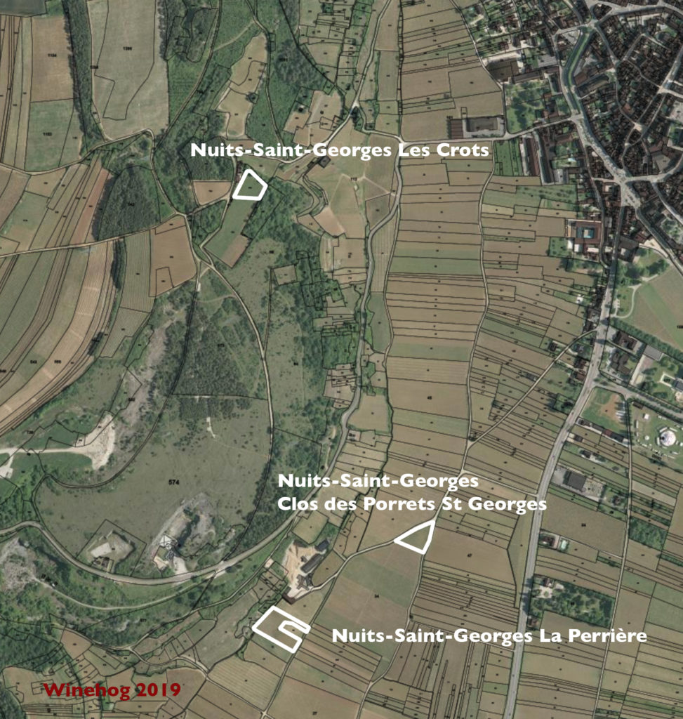 Pinot? Pinot Blanc? Pinot Gouges: the forgotten mutation