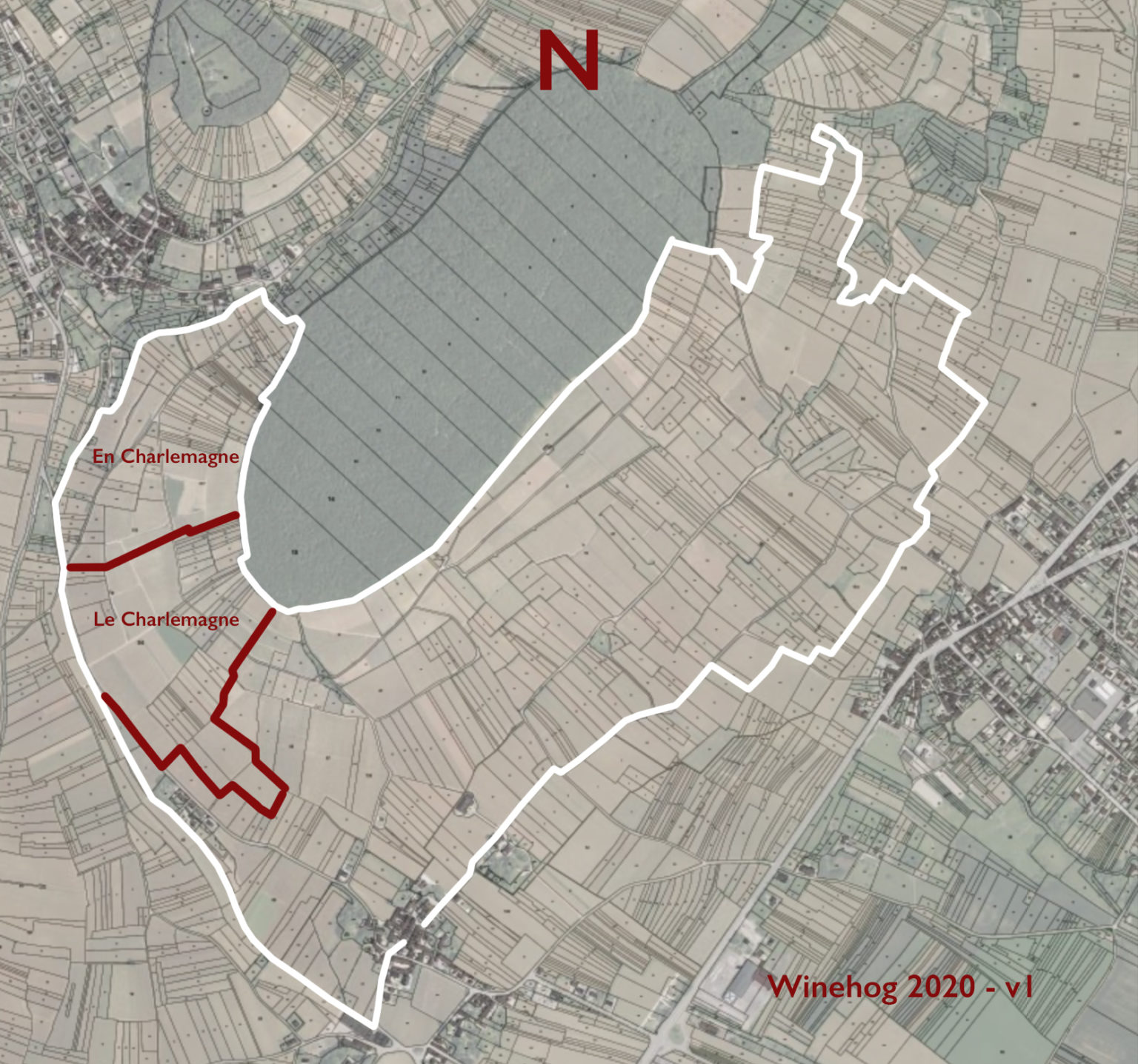 Terroir Insight: Domaine Michel Mallard Corton-Charlemagne